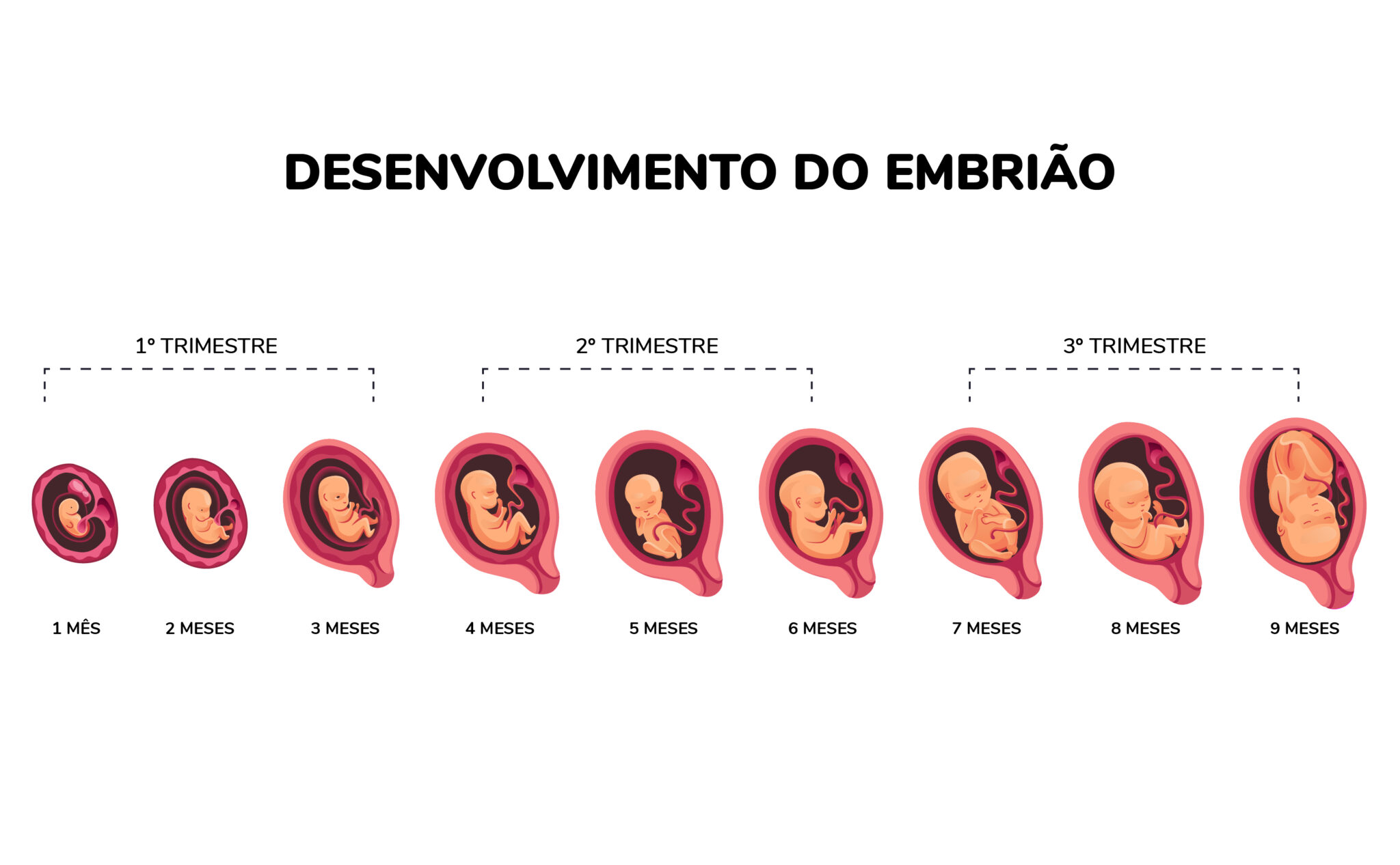 Calendário da gestação: guia para ajudar as mamães nesse momento tão ...